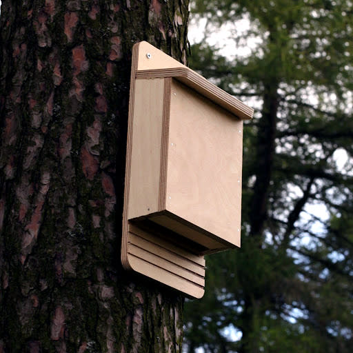 Build a Bat Box | Events In Providence, RI